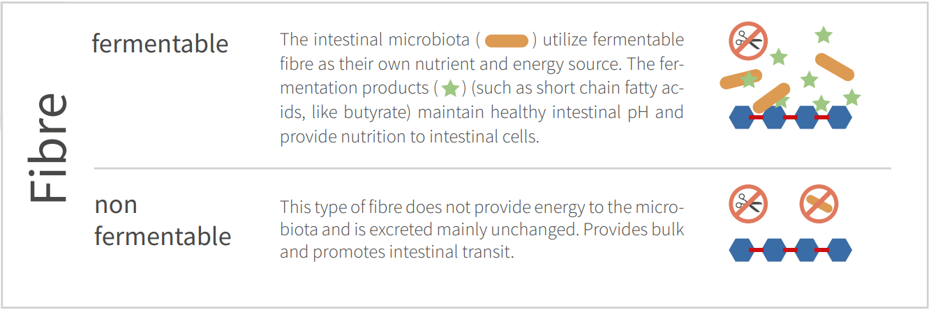 carbohydrates-in-dog-and-cat-food-fediaf