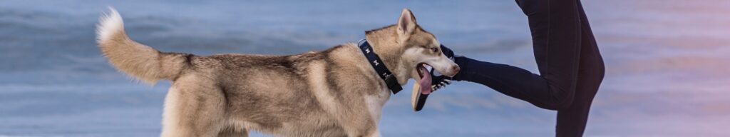 Health benefits | FEDIAF