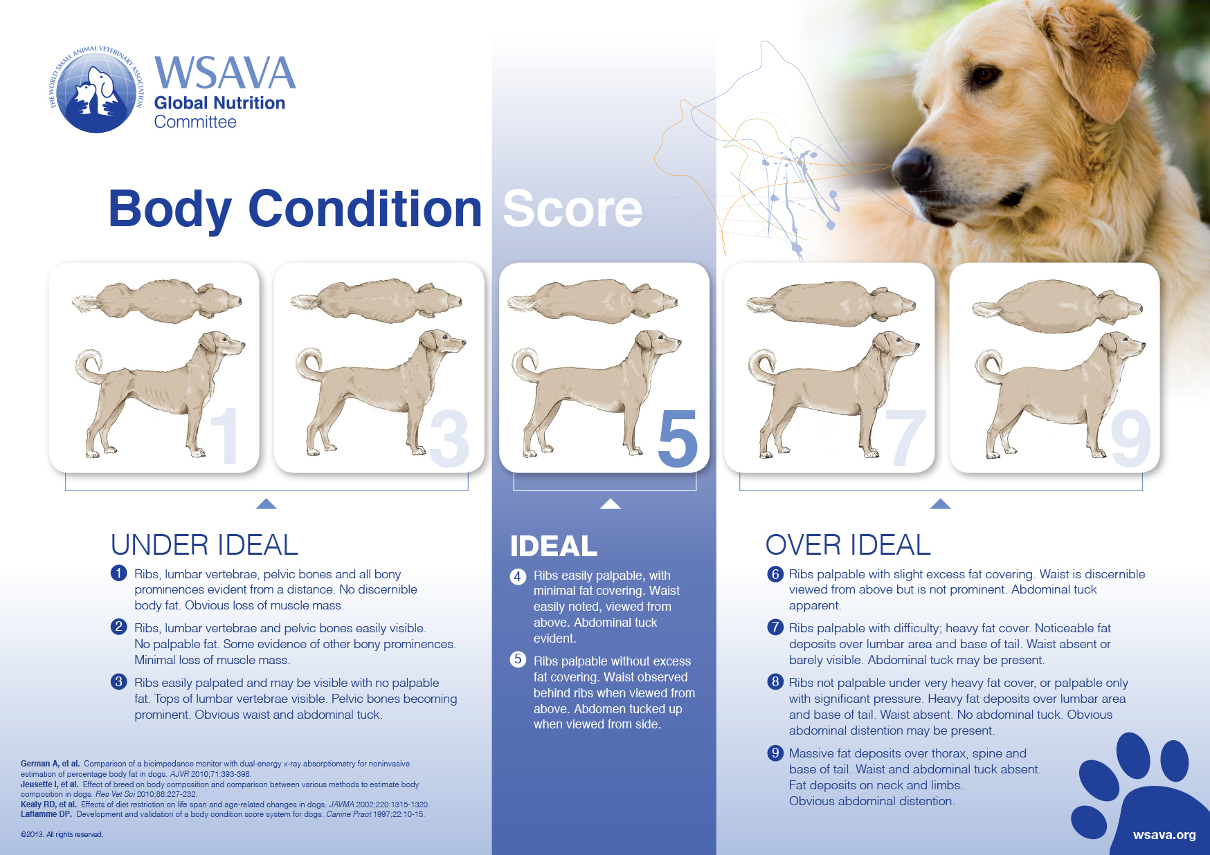 Maintaining a healthy weight for your dog | FEDIAF