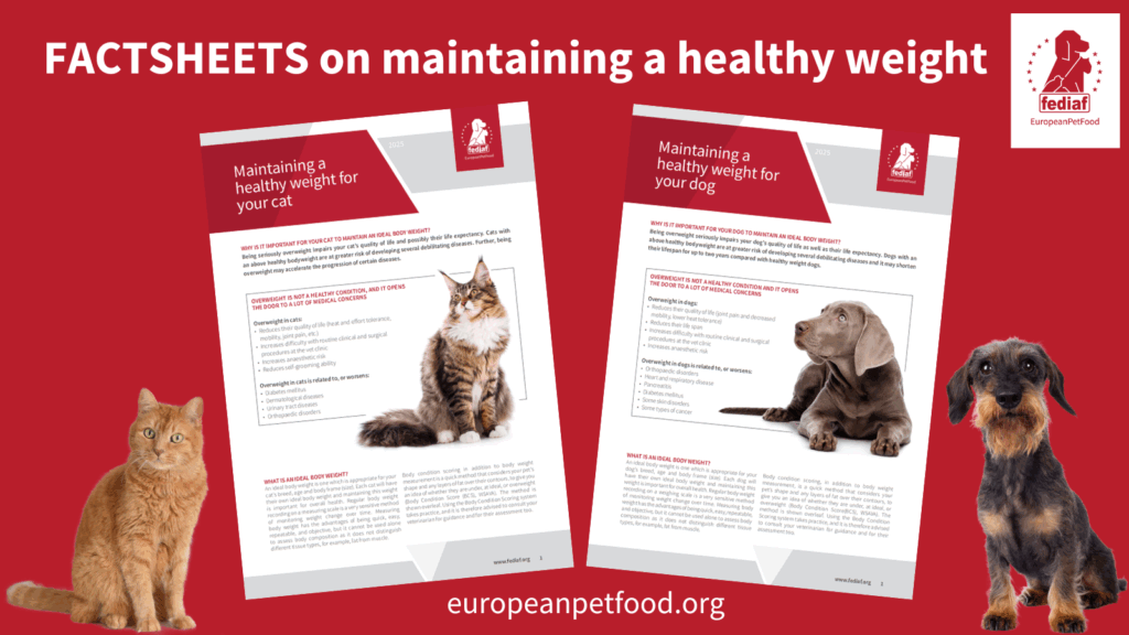 FEDIAF unveils new Factsheets on healthy weight for cats and dogs | FEDIAF
